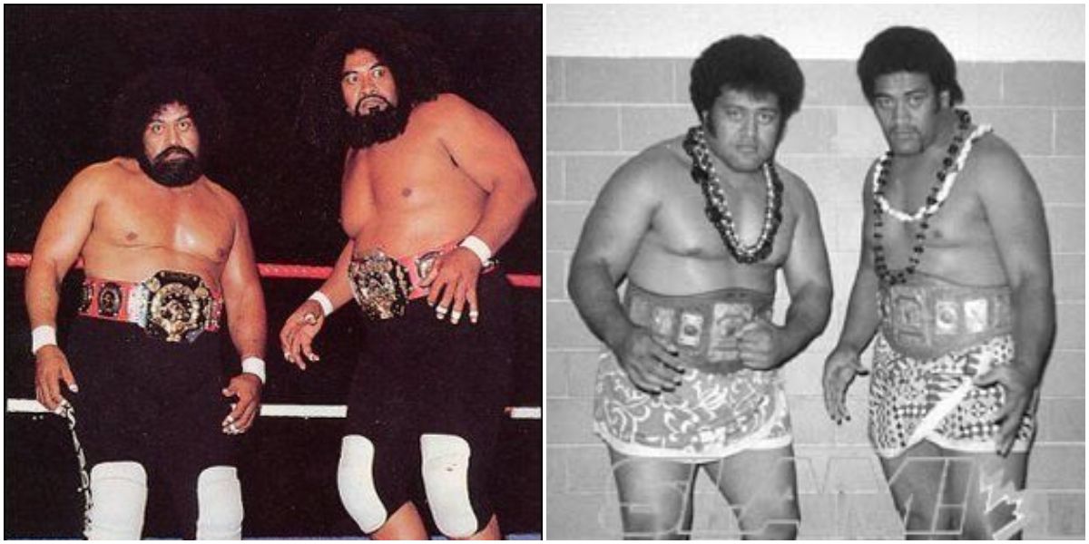 What These 13 Forgotten WWE Hall Of Famers Looked Like As Rookies