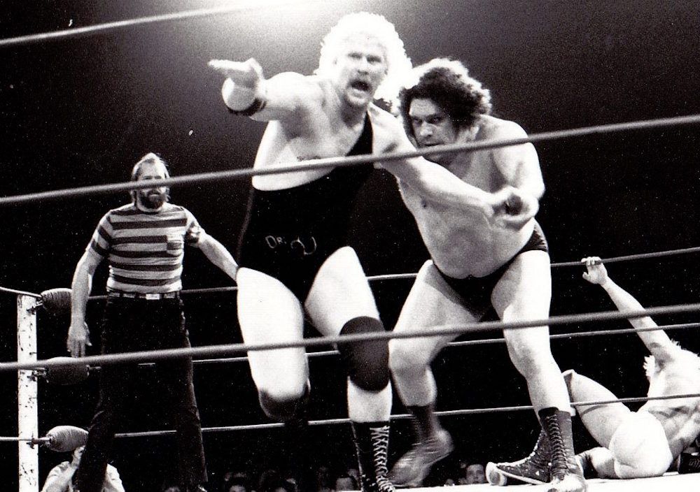 Things Wrestling Fans Should Know About David Schultz