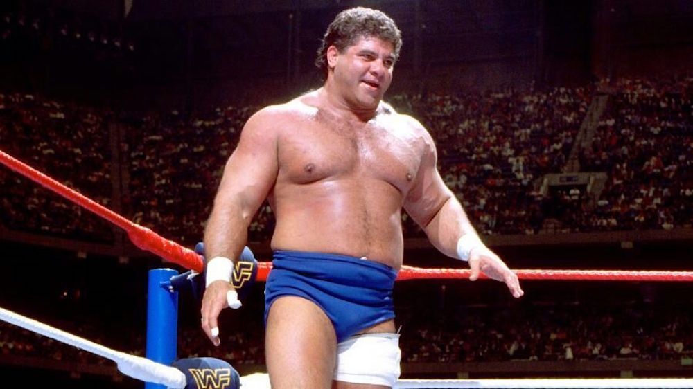 10 Things Wrestling Fans Should Know About Don Muraco