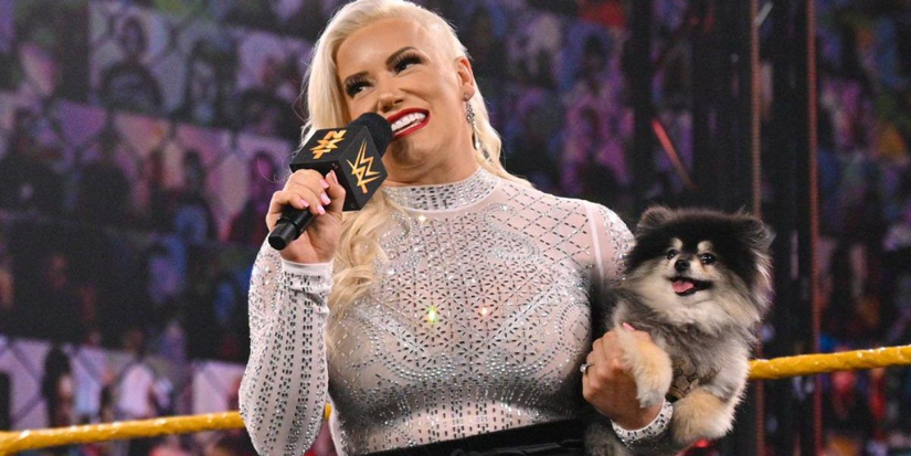 10 Current AEW Wrestlers Who Wrestled In NXT (But Not On WWE's Main Roster)