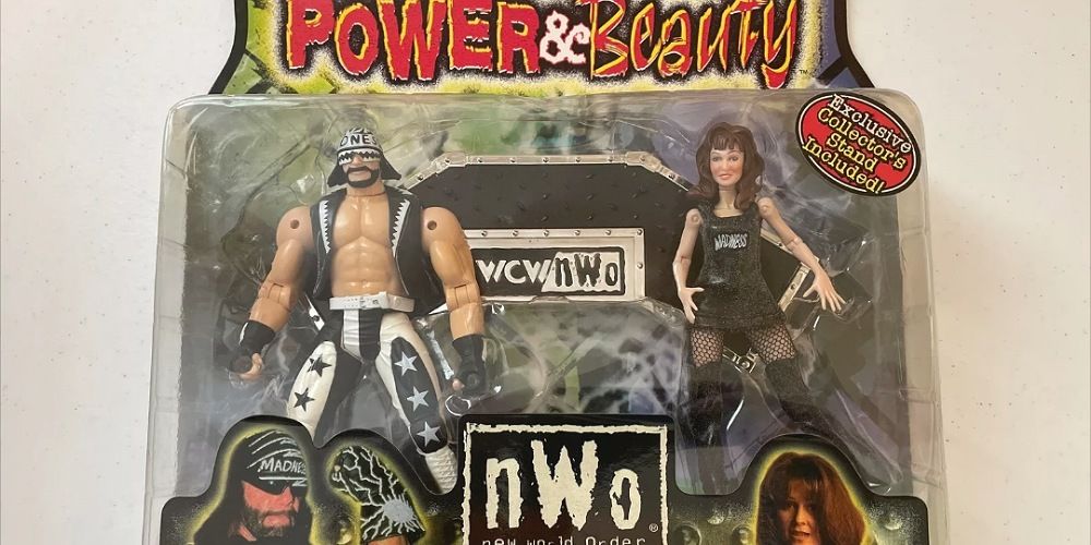 10 Best Randy Savage Wrestling Action Figures, Ranked