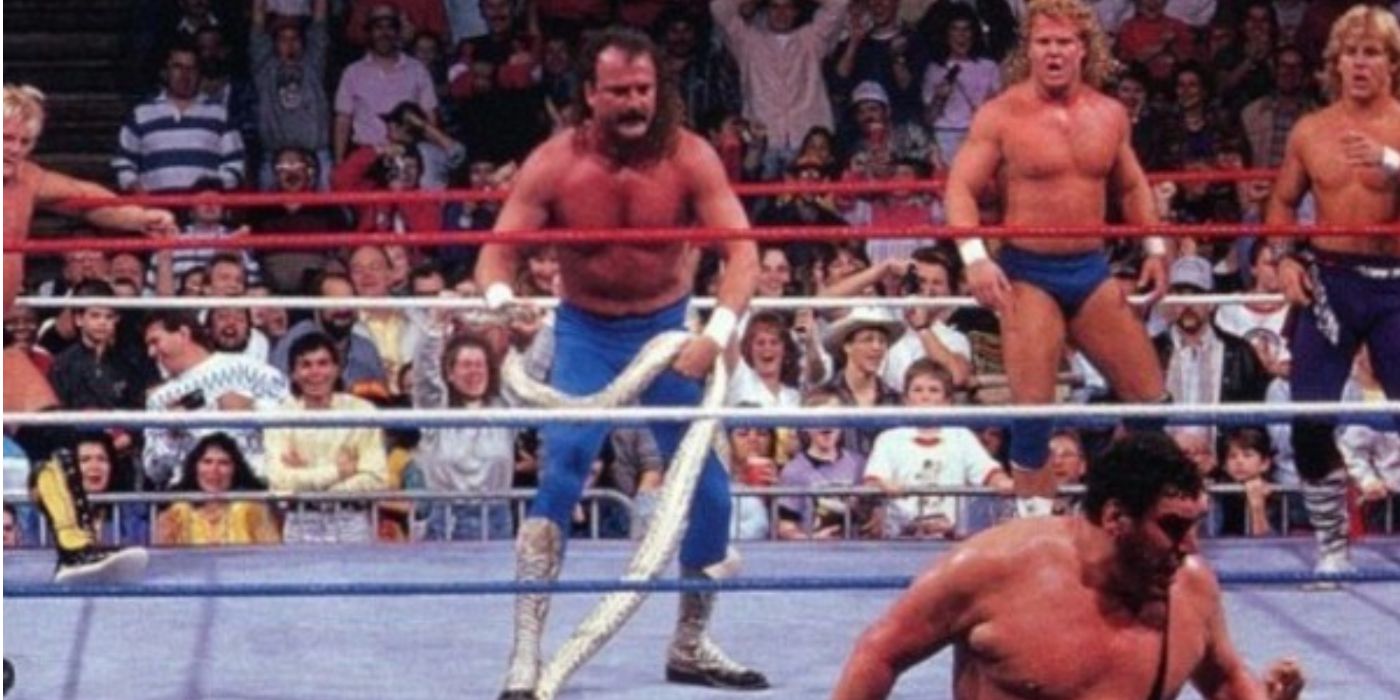 10 Things Fans Need To Know About Andre The Giant & Haku, The WWE Tag ...