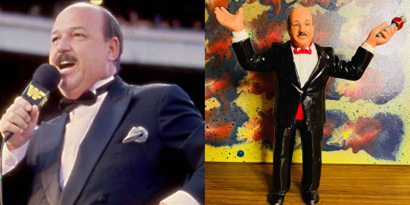 10 Best WWF LJN Action Figures, Ranked