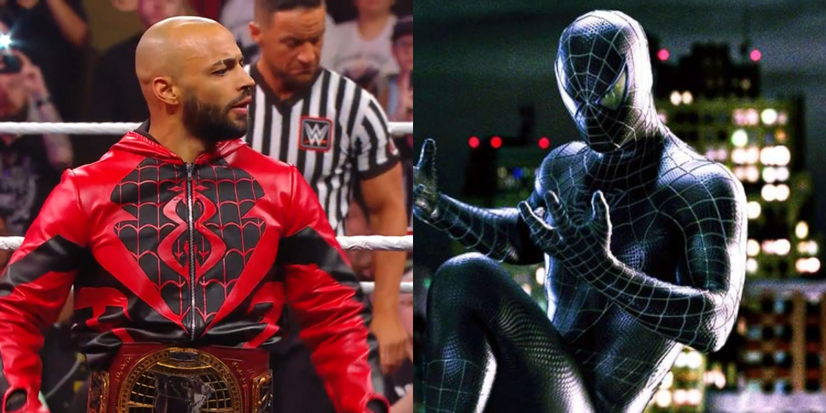 10 Pop Culture Gimmicks That Would Be Great In Wrestling