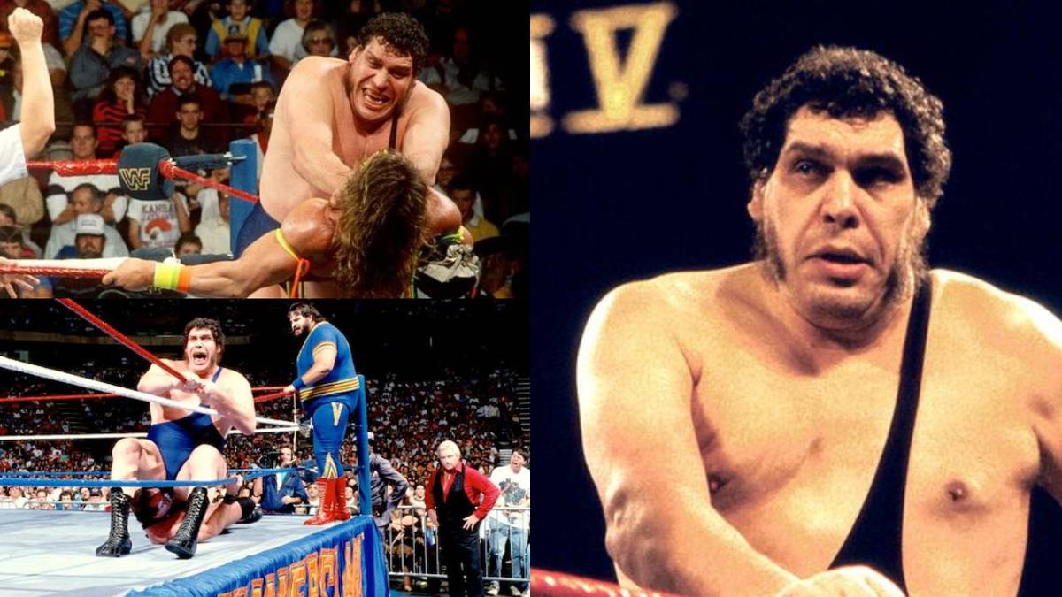 Andre The Giant's Last 10 Losses In WWE