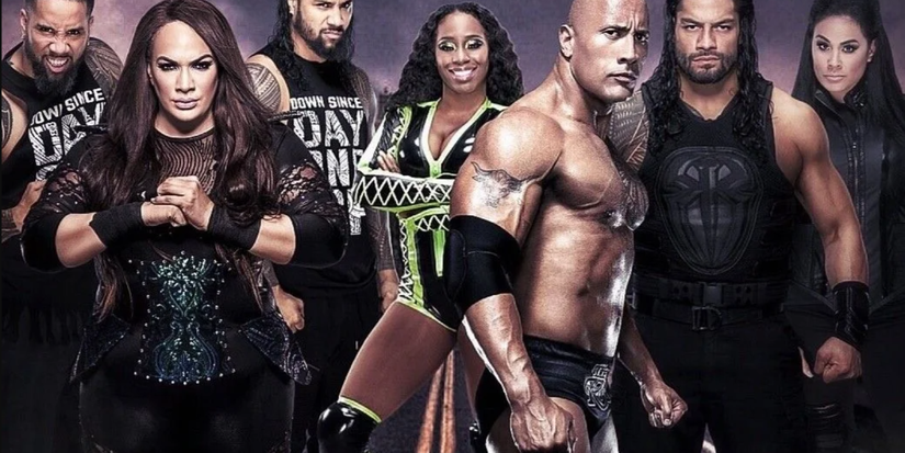 10 Things WWE Fans Should Know About The Legendary Tag Team The Wild ...