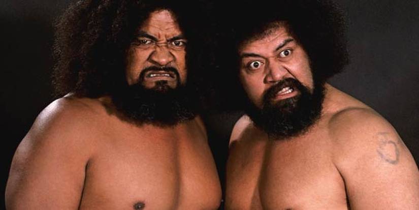 10 Things WWE Fans Should Know About The Legendary Tag Team The Wild ...