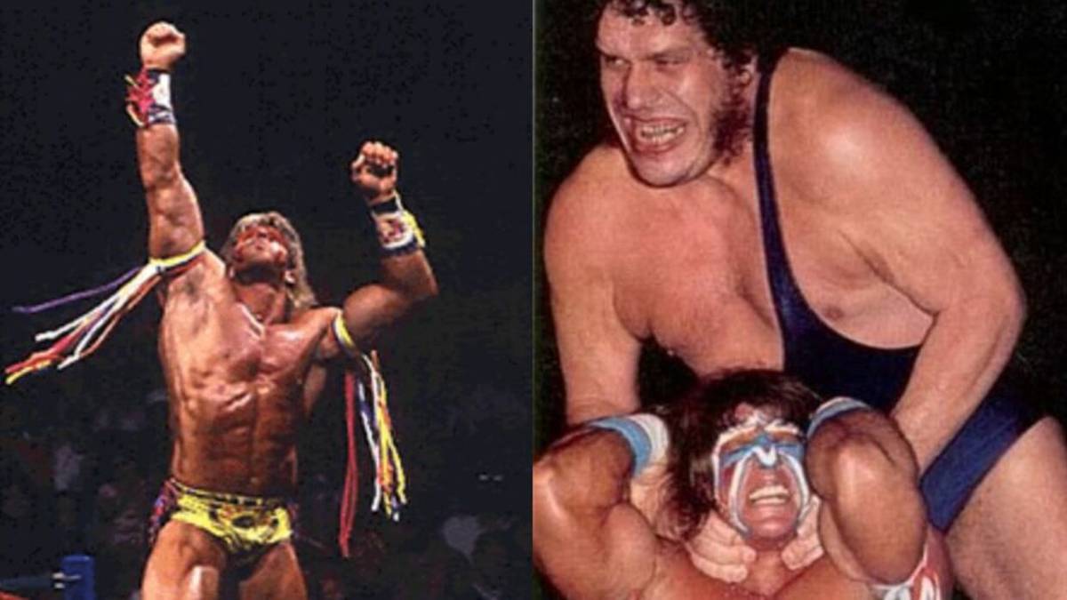 ultimate warrior fights