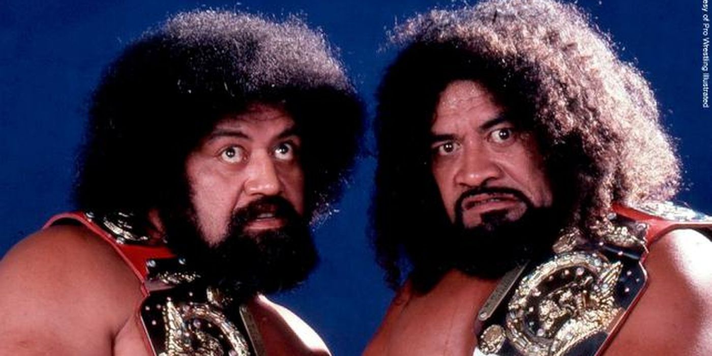 10 Things WWE Fans Should Know About The Legendary Tag Team The Wild ...