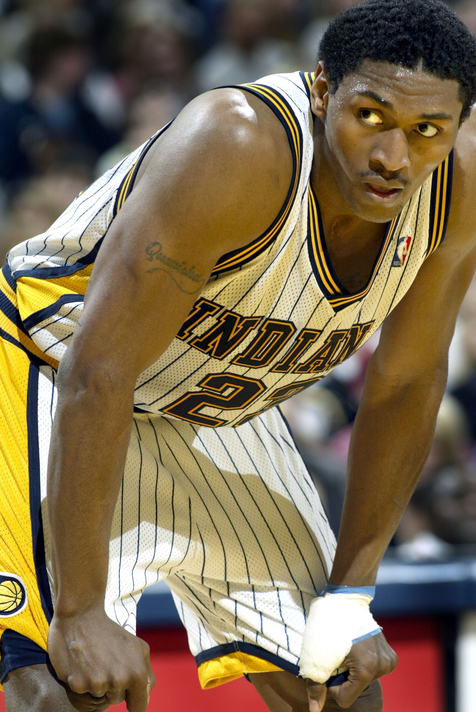 10 Wildest NBA Fan Moments Ever, Ranked
