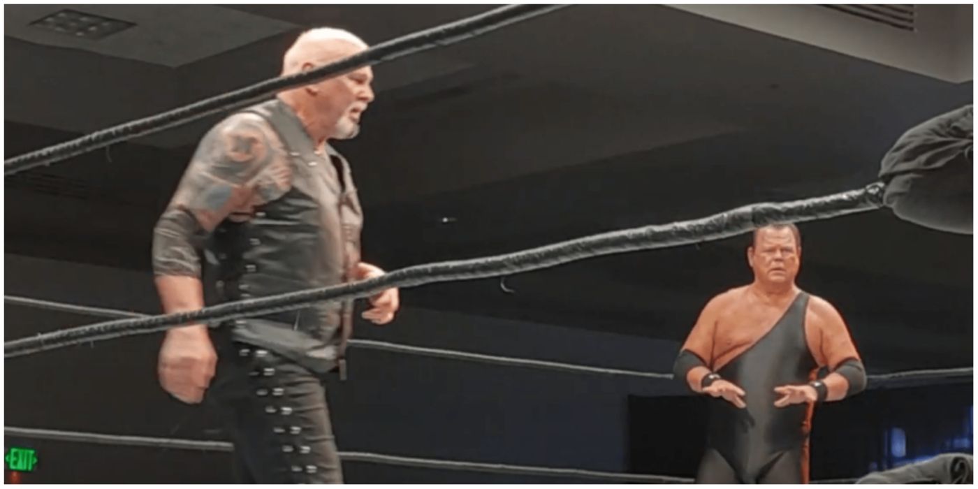 10 Things You Didn't Know About Jerry "The King" Lawler's Wrestling Career