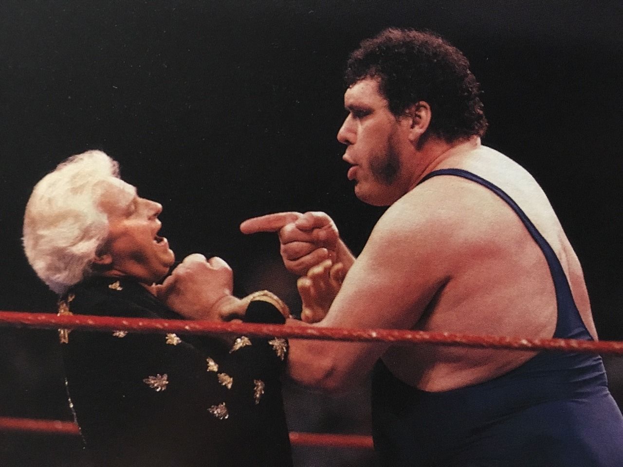 WWE: 10 Weird Heenan Family Moments We Completely Forgot About