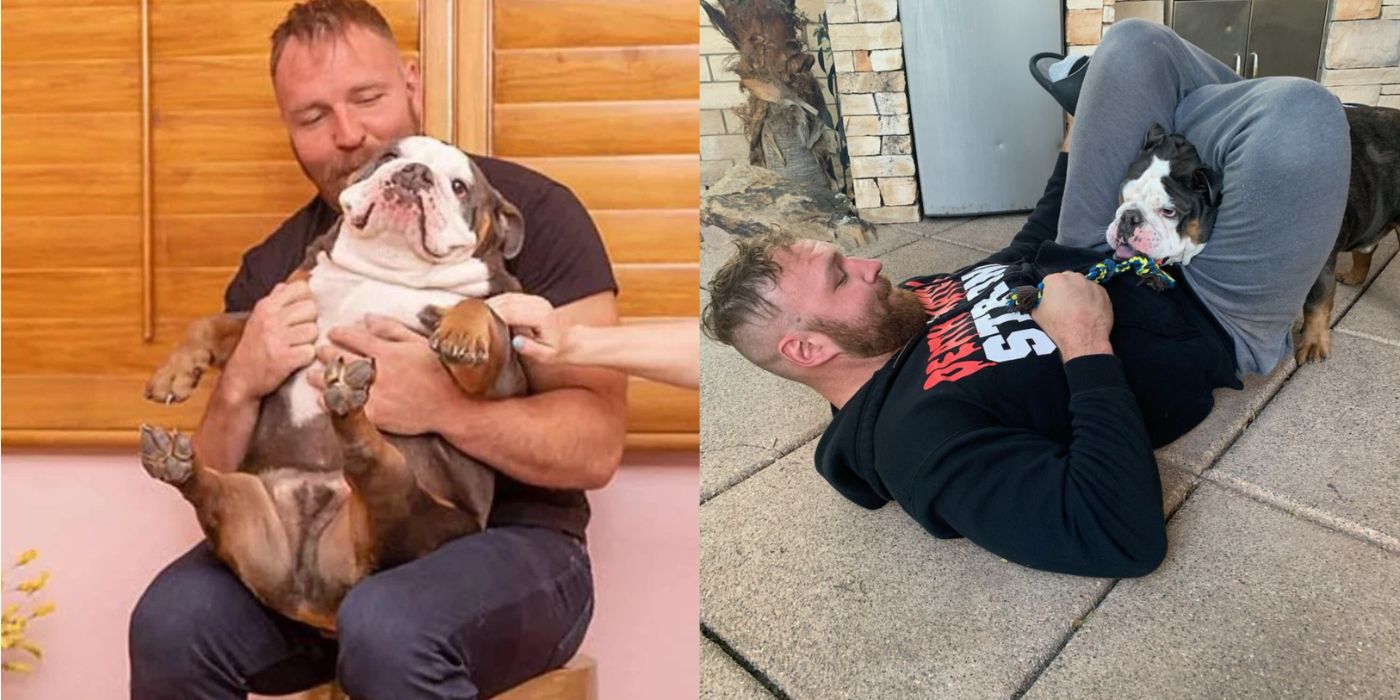 O Animal Wwe