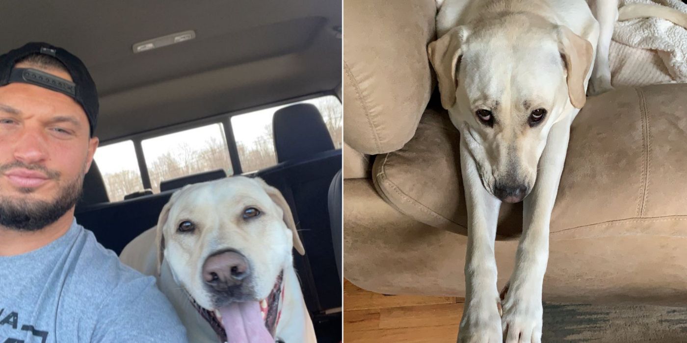 10 Adorable Pics Of WWE & AEW Wrestlers' Pet Animals