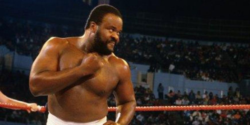 10 Amazing WWE Golden Era Wrestlers (With One Massive Flaw)