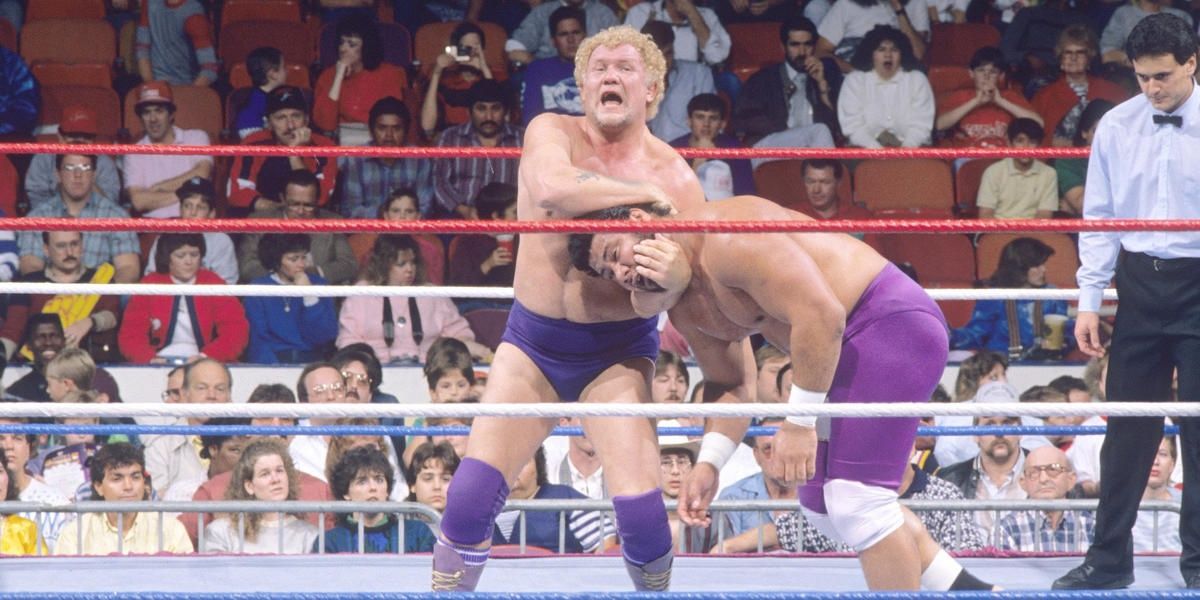 The 10 Worst Matches At The Royal Rumble PPV, According To Dave Meltzer