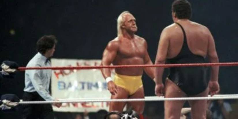 Every Major Hulk Hogan Feud During WWE's Golden Era, Ranked Worst To Best