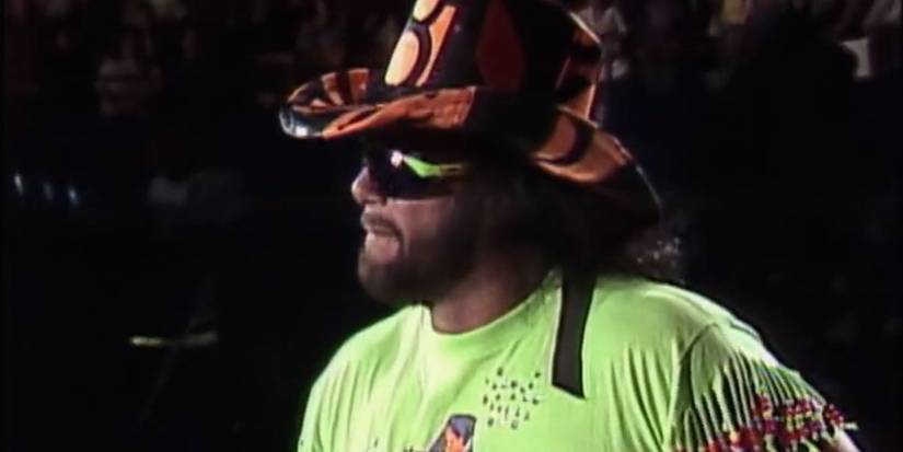 10 Things WWE Fans Should Know About The Randy Savage Vs. Jake "The ...