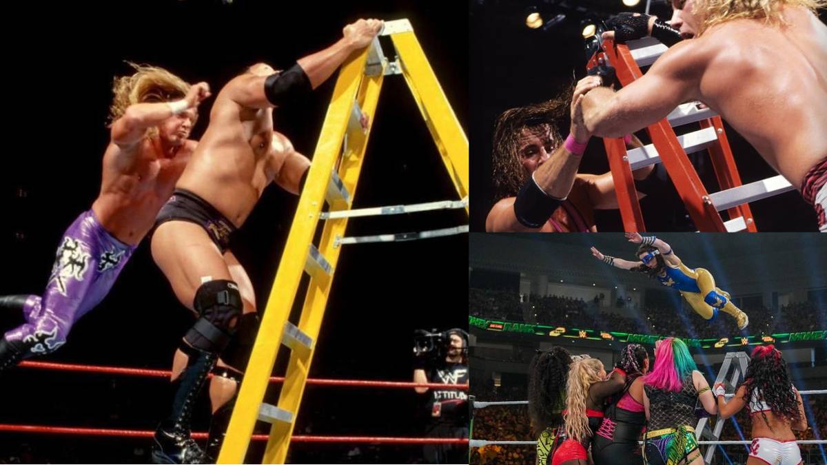 The History & Evolution Of The Ladder Match In WWE, Explained