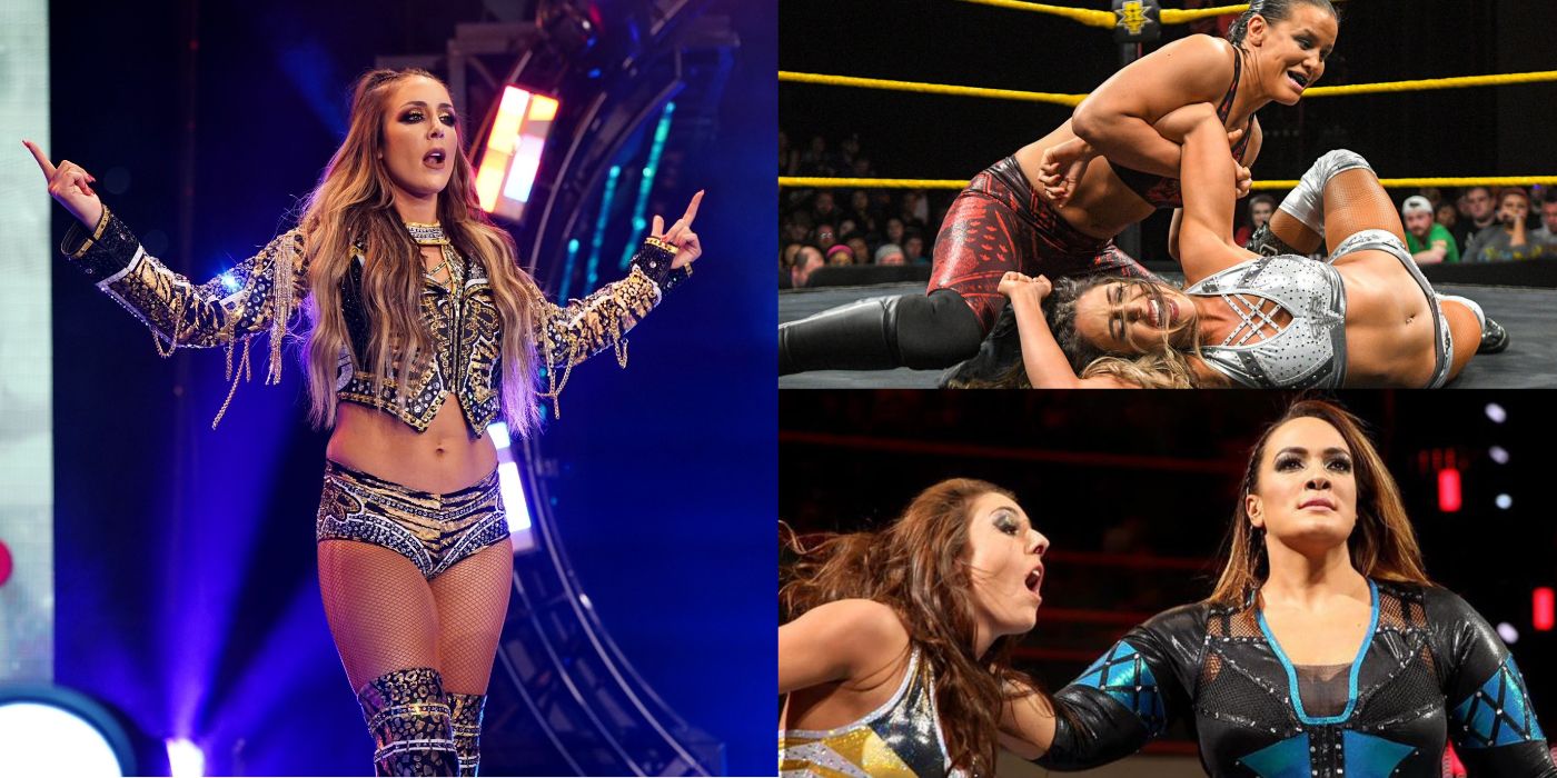 Dr. Britt Baker, D.M.D.'s Cameo Appearances In WWE, Explained