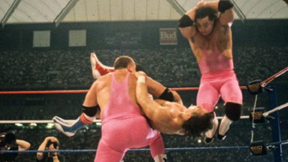 10 Things Fans Should Know About The British Bulldogs Vs. The Hart ...