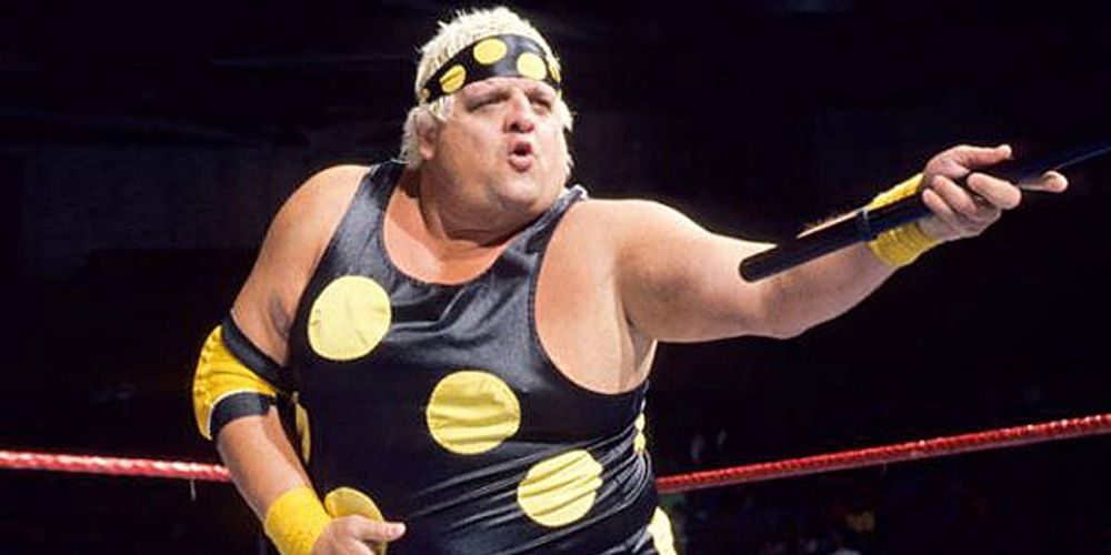 10 Wrestlers You Didn't Realize Wrestled For WWE In The 1970s