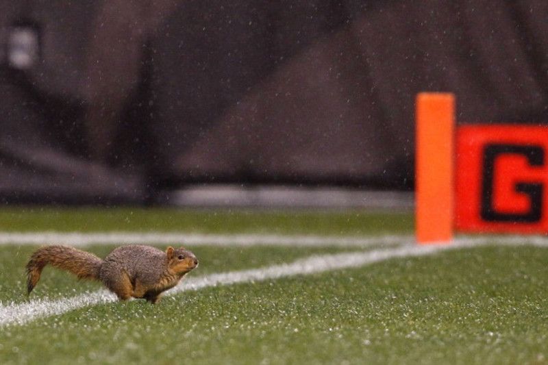 10 Times An NFL Game Had To Be Placed On Hold