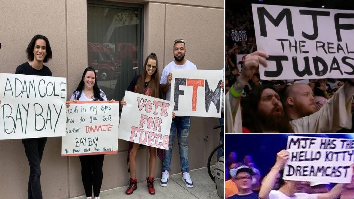 10 Funniest Fan Signs In AEW History