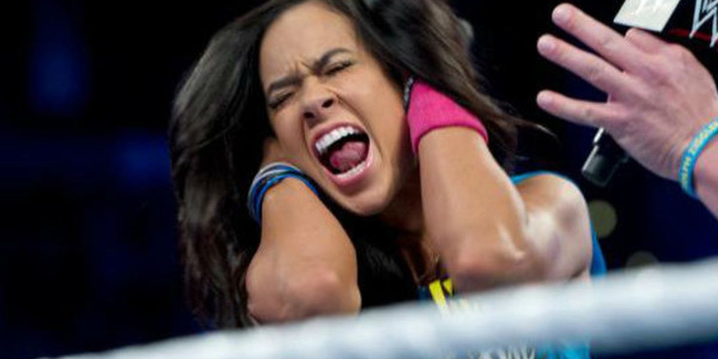7 Things Fans Don’t Know About AJ Lee’s Life Outside WWE