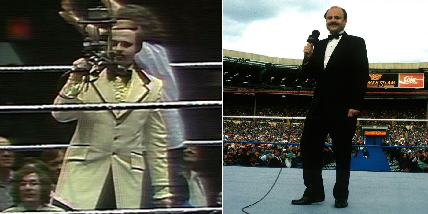 The Death & Legacy Of WWE Ring Announcer Howard Finkel, Explained
