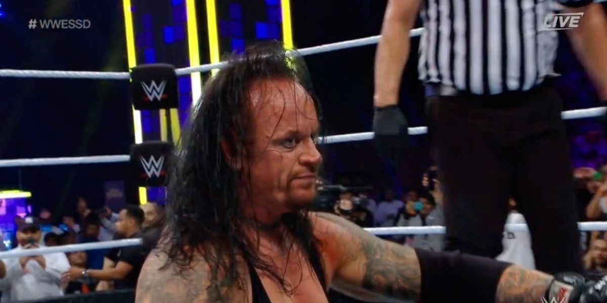 How The Undertaker Was Almost Killed At A WWE PPV, Explained