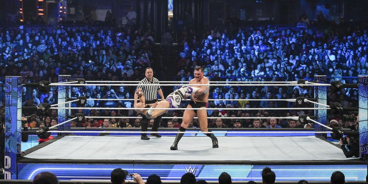 10 Best Reviewed Dave Meltzer WWE Matches You Probably Haven't Seen