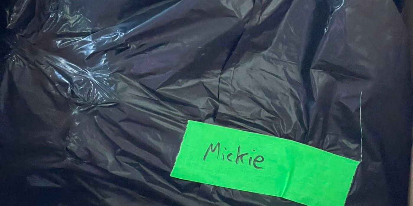 The Infamous Mickie James Trash Bag Debacle In WWE, Explained