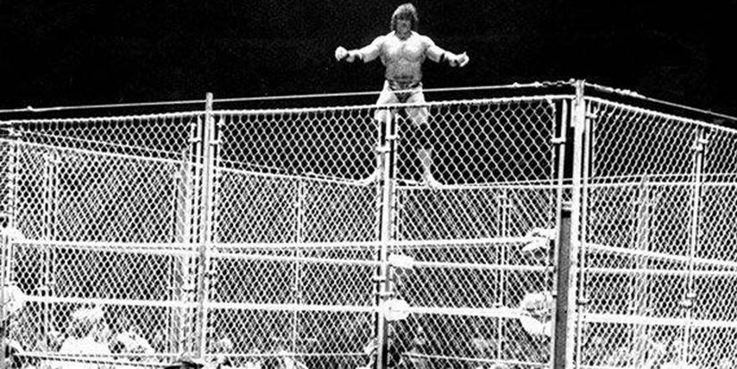 The History Of WWE's Original Steel Cage (& Why They Stopped Using It)