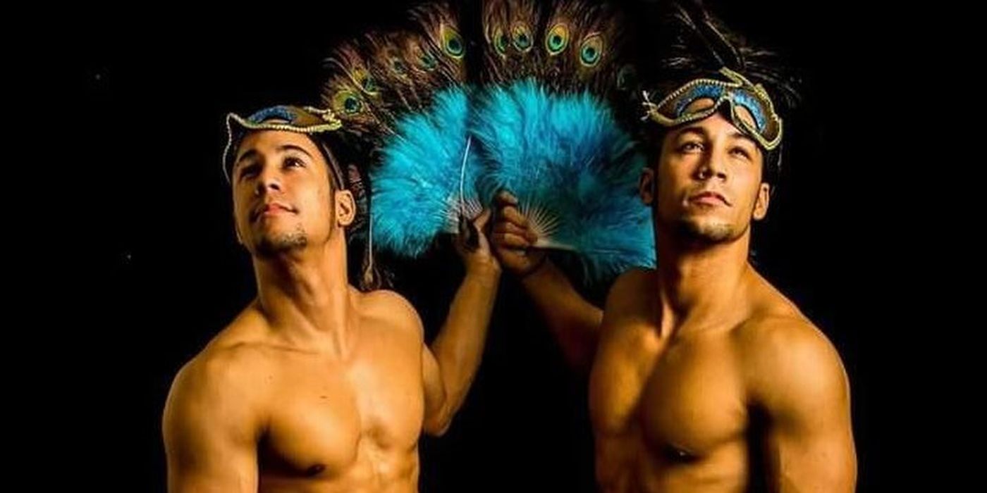 10 Pairs Of Twins In Wrestling History, Ranked Worst To Best