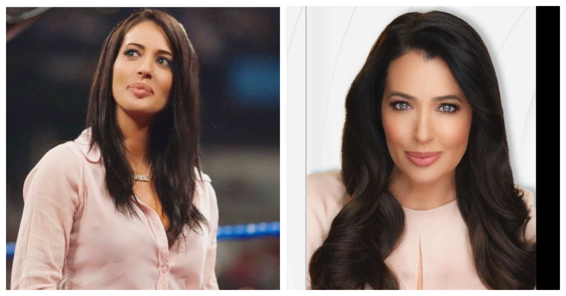 10 Forgotten WWE Women From The 2000s: Where Are They Now?