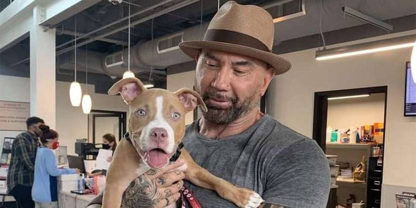 Batista's 10 Greatest Accomplishments Outside Of Wrestling, Ranked