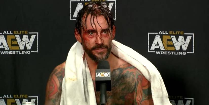 7 Valid Reasons Some Wrestling Fans Don't Like CM Punk