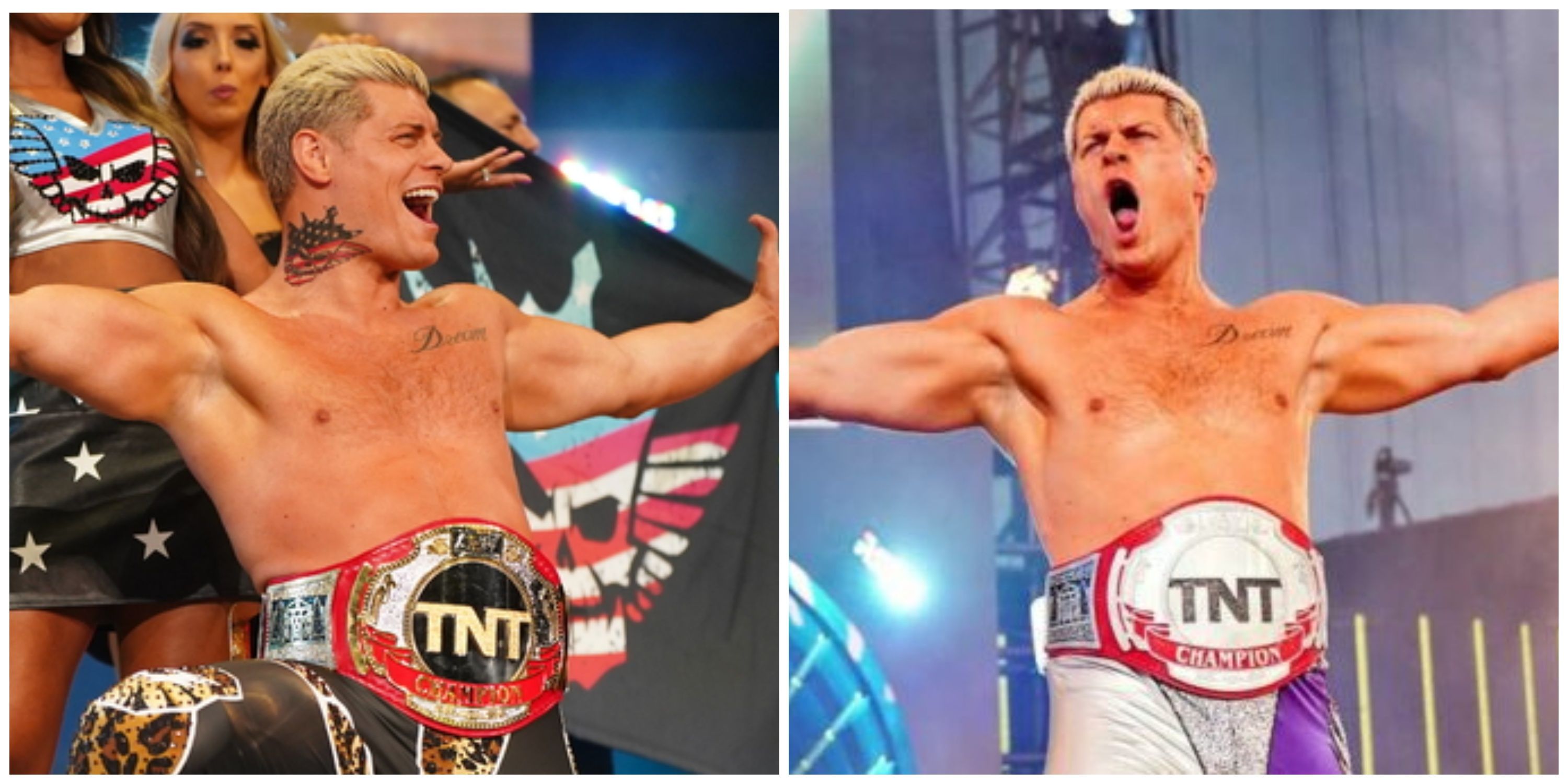 10 Wrestlers Who Have Held Multiple Versions Of The Same Championship Belt