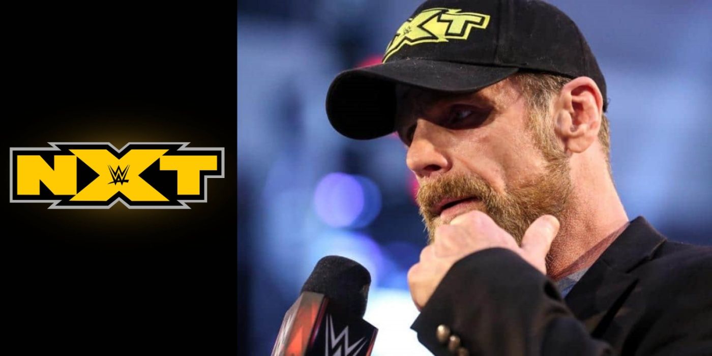 Shawn Michaels Comments On NXT Possibly Having A Secondary Women's ...