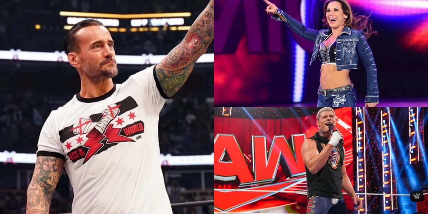 Matches That Caused A Wrestler To Get Fired