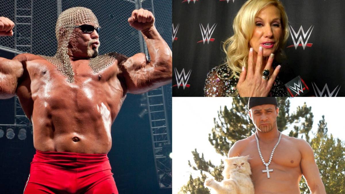 5 Wrestlers Who Were Blacklisted By WWE But Were Welcomed Back (& 5 Who ...