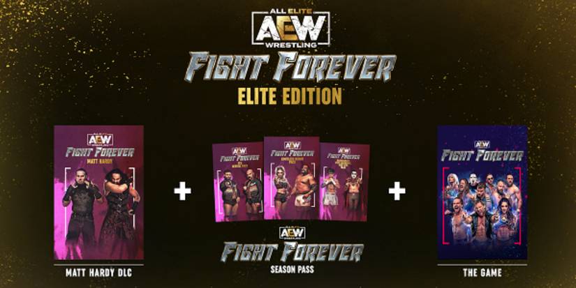 Every Playable Wrestler In 'AEW Fight Forever'