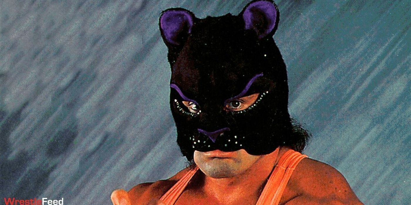 10 Unbelievably Ugly Wrestling Attires From WWE's Past