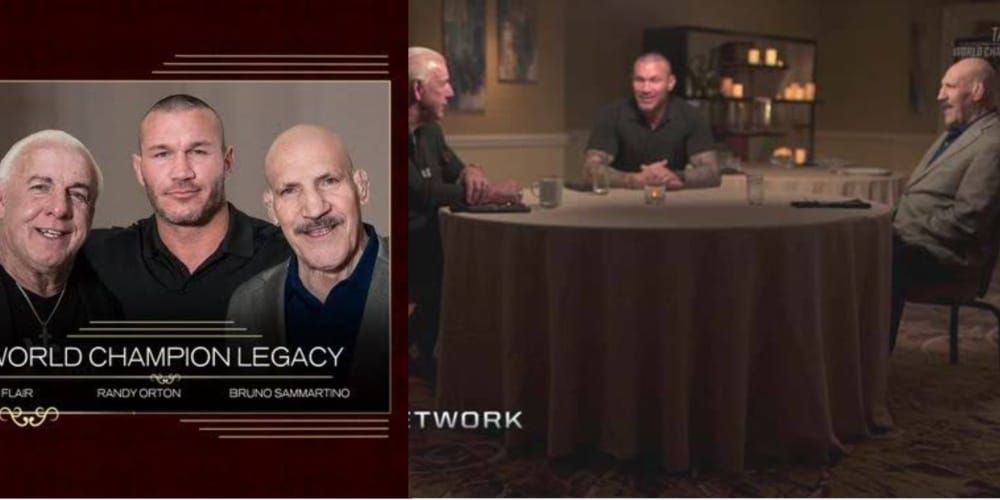 Bruno Sammartino & Ric Flair's Real Life Rivalry, Explained