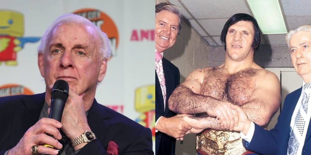 Bruno Sammartino & Ric Flair's Real Life Rivalry, Explained