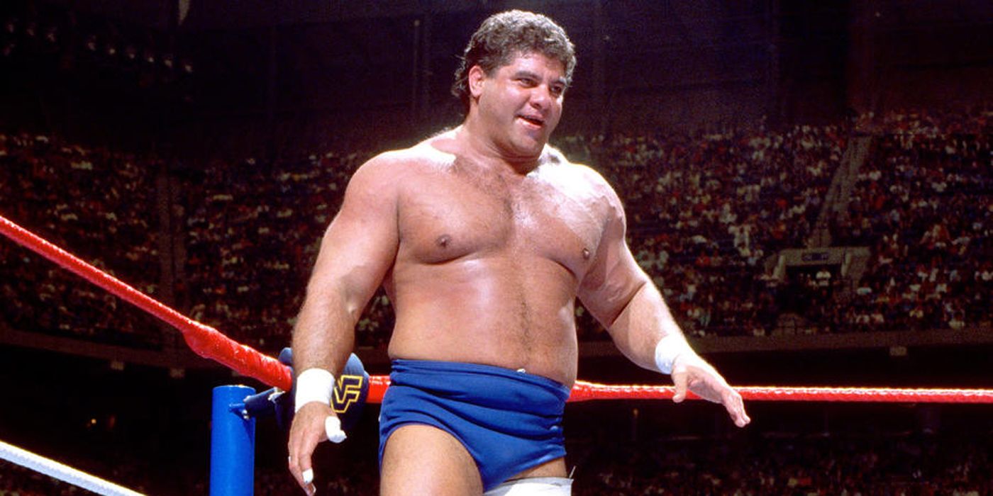 14 Worst Finishers Of WWE's Golden Era