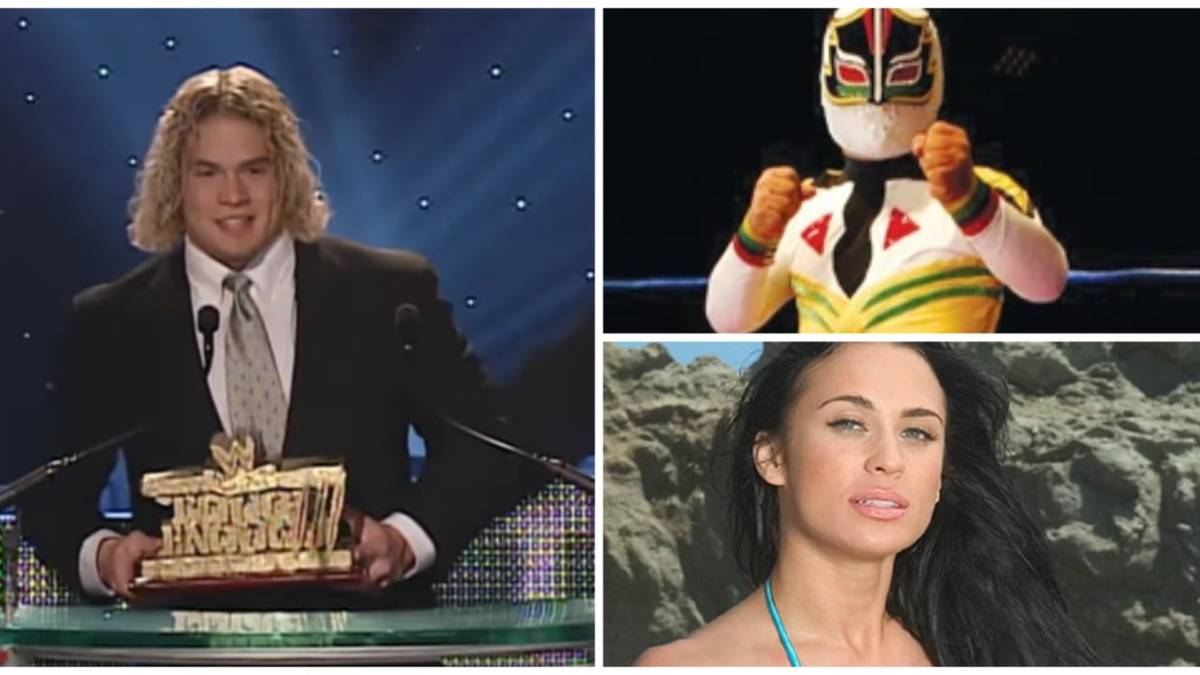 10 Forgotten WWE TV Personalities Of The 2000s
