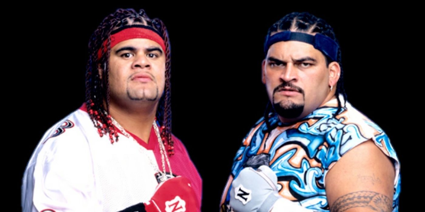 8 Tag Teams In WWE That Featured 2 Giants