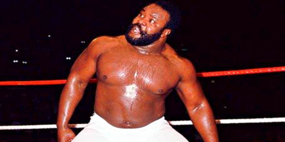 10 Best WWE Babyface Wrestlers Of The 1980s, Ranked